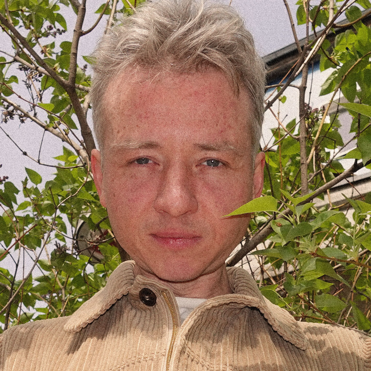 Alex Winkelmann - Zeitgeister - The Cultural Magazine of the Goethe ...