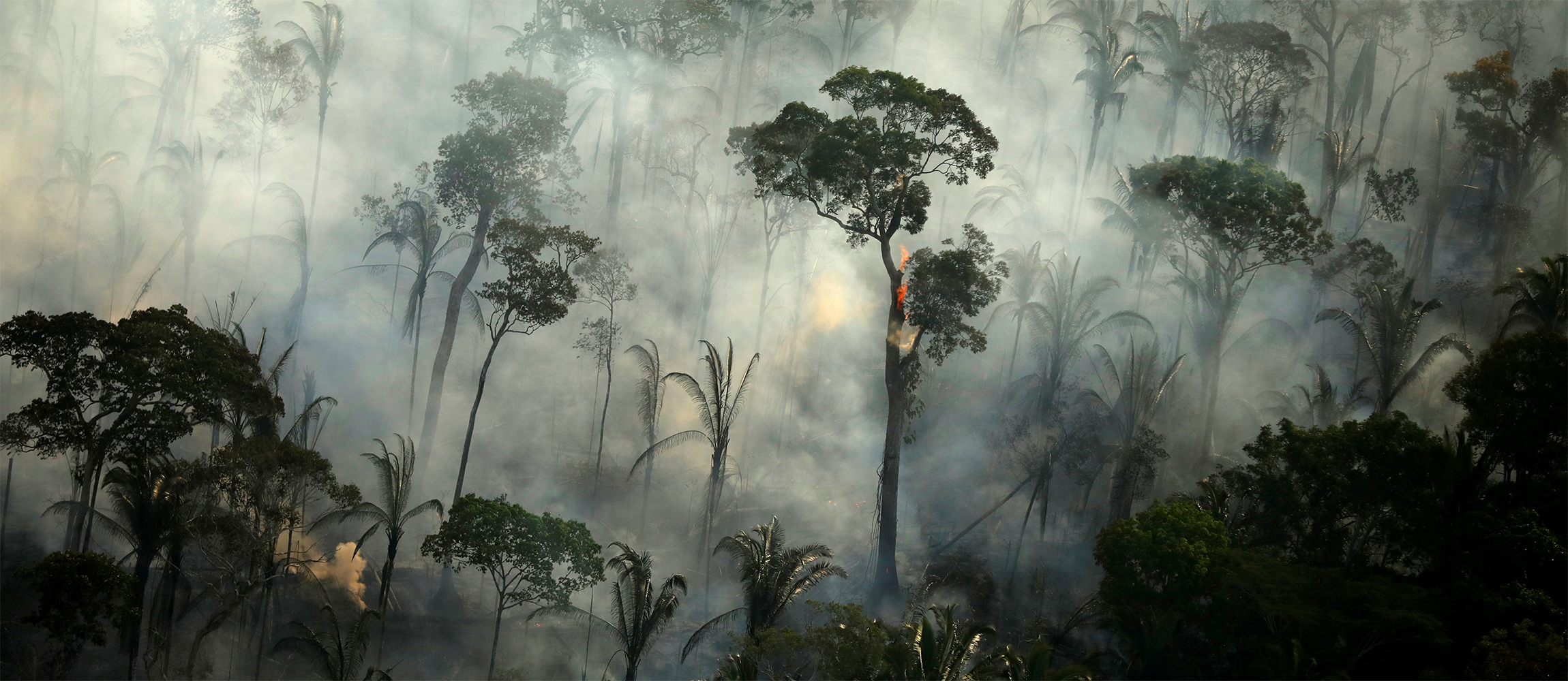 Climate Colonialism as a new Power Structure - Zeitgeister - The ...